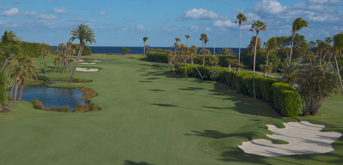 Palm Beach – Brian Silva Design
